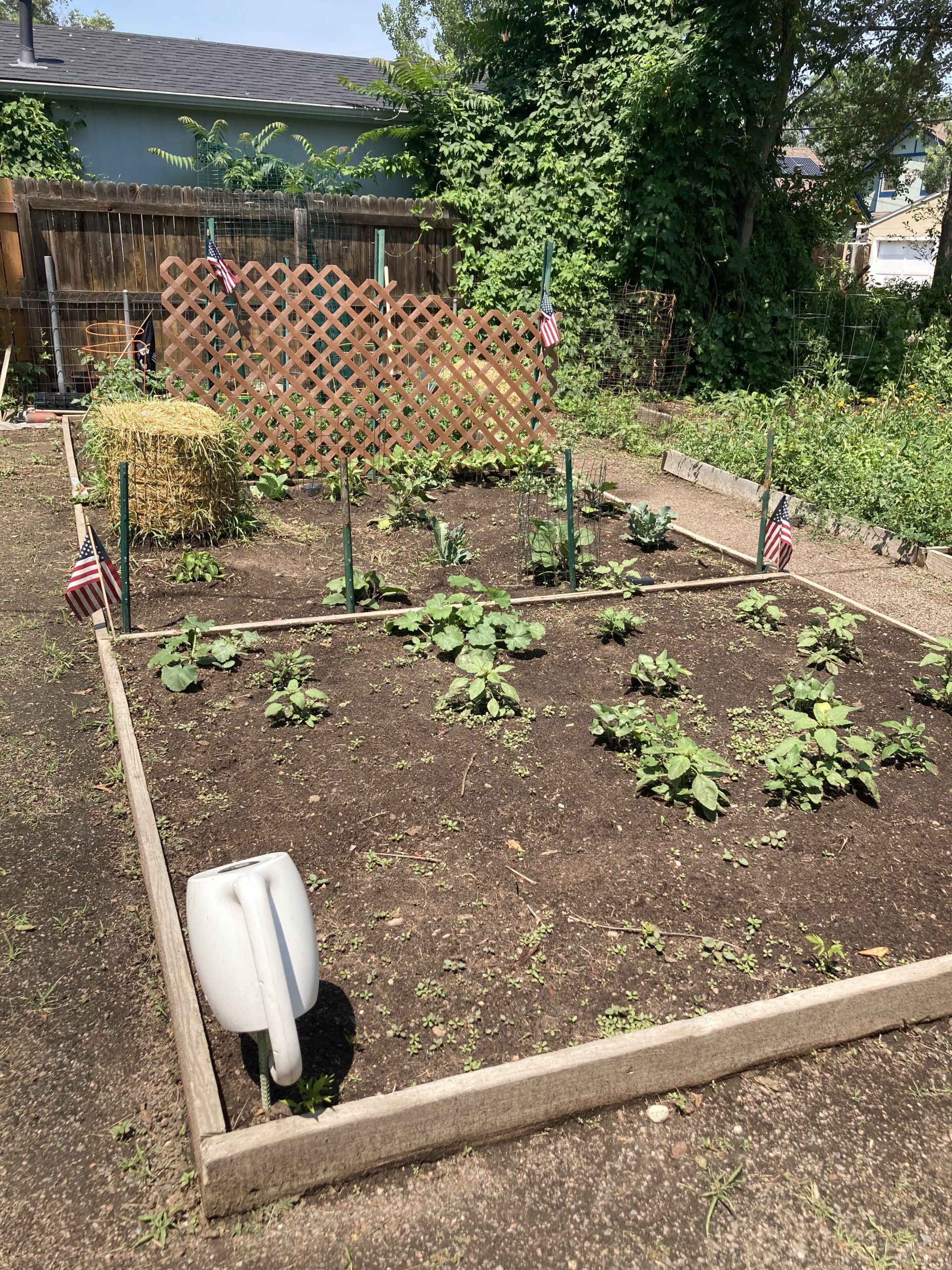 Spots Open at City of Edgewater Community Garden - Edgewater Echo